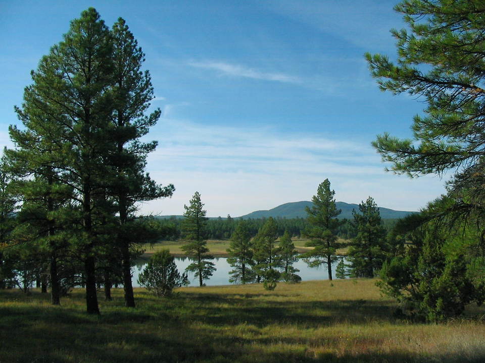 Flagstaff, AZ : Upper Lake Mary photo, picture, image (Arizona) at city ...