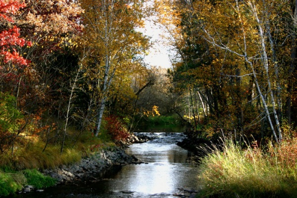 Pierz, MN : Skunk River photo, picture, image (Minnesota) at city-data.com
