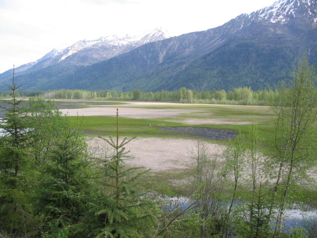 Haines, AK : Marsh "out the road" in Haines photo, picture, image ...