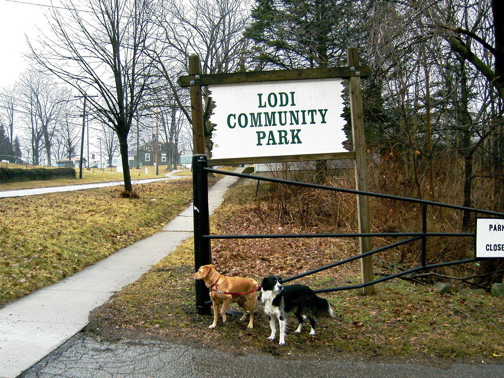 Lodi OH Lodi Community Park Photo Picture Image Ohio At City Lodi OH Lodi Community Park Photo Picture Image Ohio At City