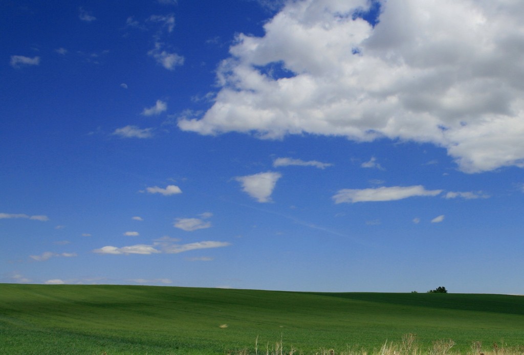 Vale, OR : Farmland photo, picture, image (Oregon) at city-data.com