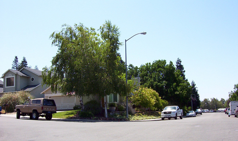 Clyde, CA : Clyde Wellington Ave. photo, picture, image (California) at ...
