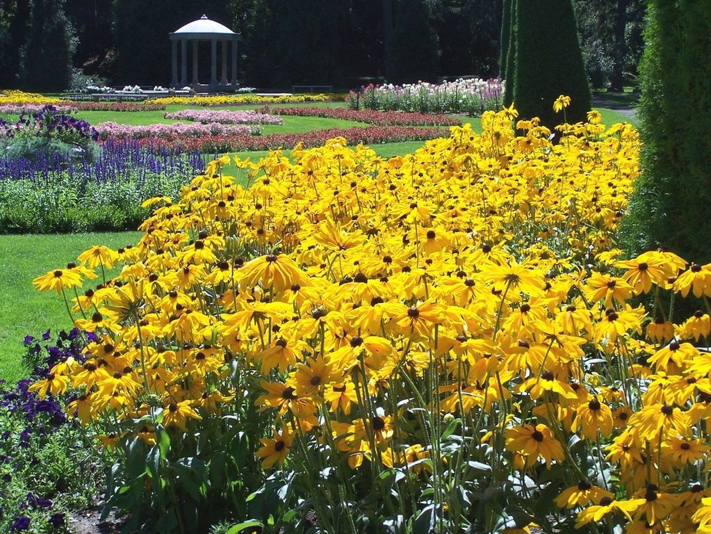 Spokane, WA : Duncan Garden at Manito Park in August photo, picture ...