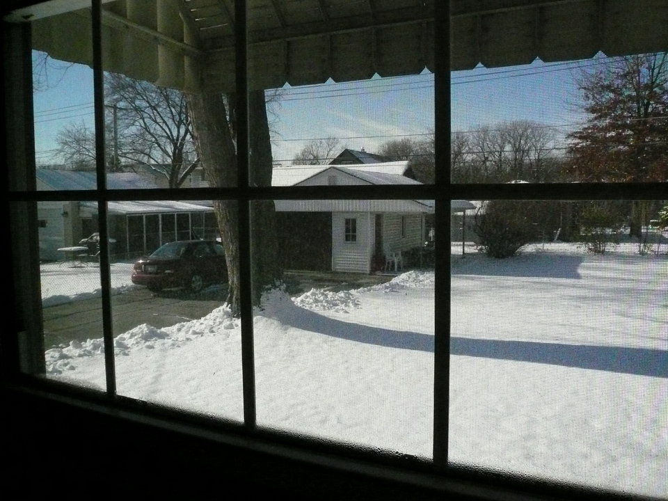 Forest View, IL : View from my home office in Forest View...it's nice ...