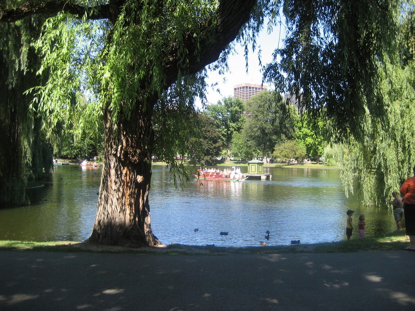 Boston, MA : Boston Commons photo, picture, image (Massachusetts) at ...