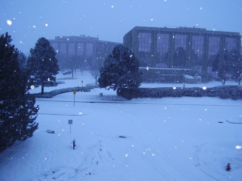 Denver, CO : White X-mas2007 photo, picture, image (Colorado) at city ...