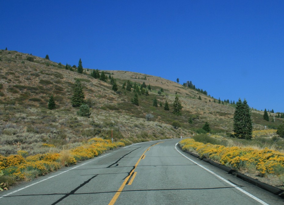 Markleeville, CA : Hwy 89 @ Monitor Pass... photo, picture, image ...