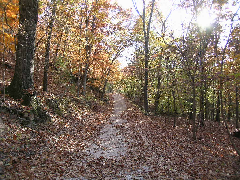 Garfield, AR : Dirt Roads are typical in Garfield - Beautiful natural ...