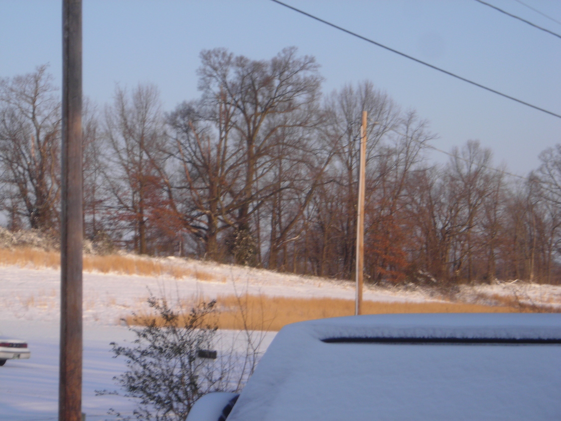 Newbern, TN : Snowy Sunrise 2 photo, picture, image (Tennessee) at city ...