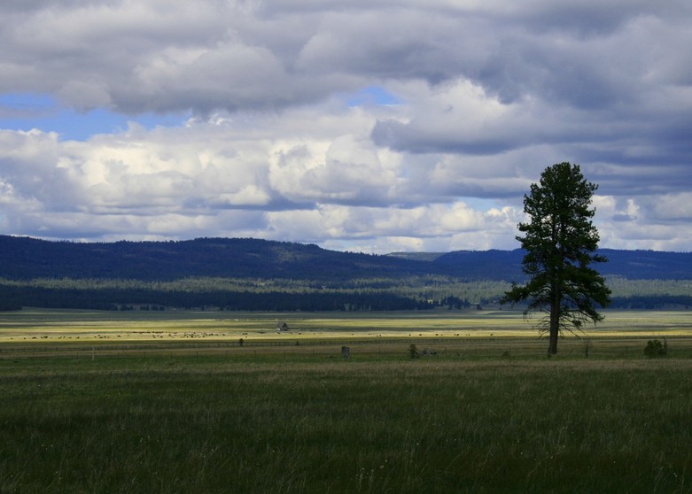 Ochoco, OR : Where are the Tepees??...Storm clouds over Big Summit ...