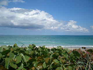 Jupiter, FL : Spring time at the beach photo, picture, image (Florida ...