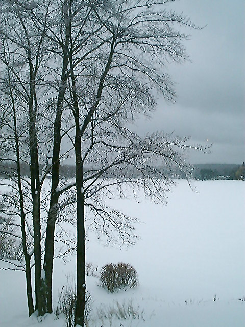Penn Lake Park, PA : Winter 2000 photo, picture, image (Pennsylvania ...