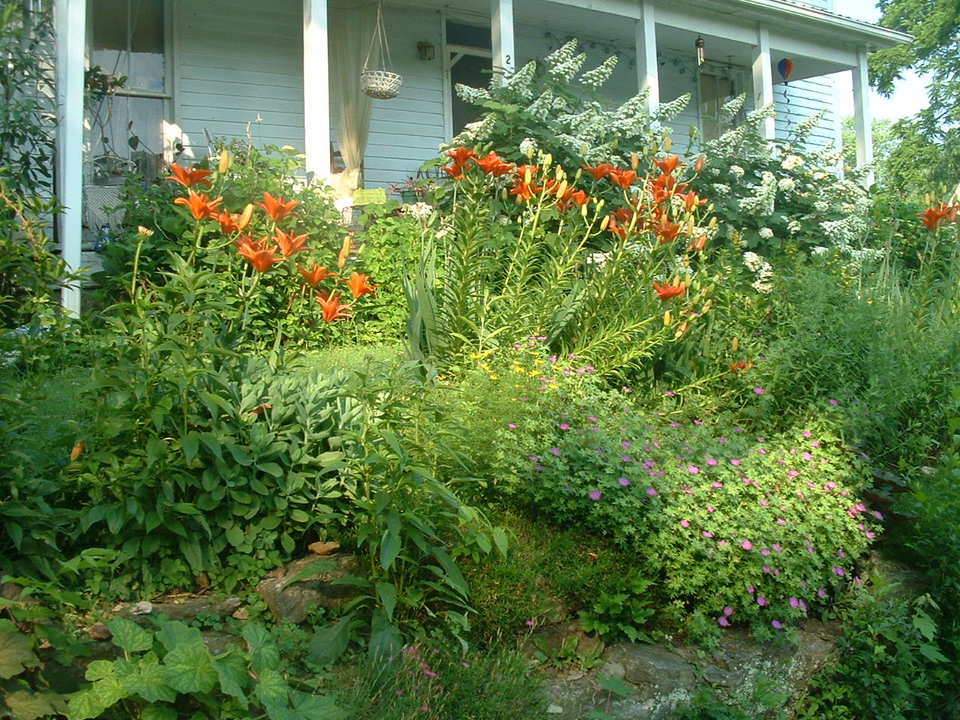 Monterey, KY : summer flowers in Monterey Kentucky photo, picture ...