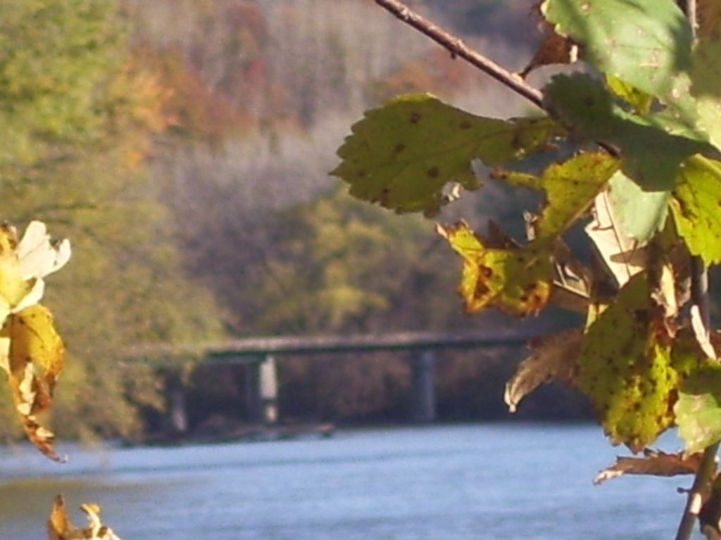 Fraser, IA : the fraser bridge from the dam photo, picture, image (Iowa ...
