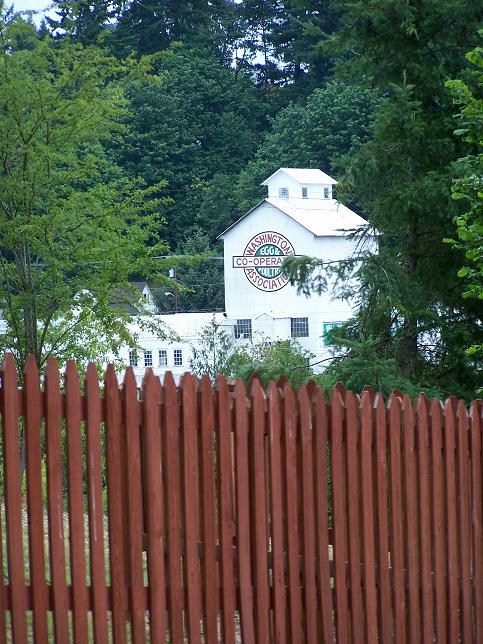 Winlock, WA : Winlock, WA photo, picture, image (Washington) at city ...