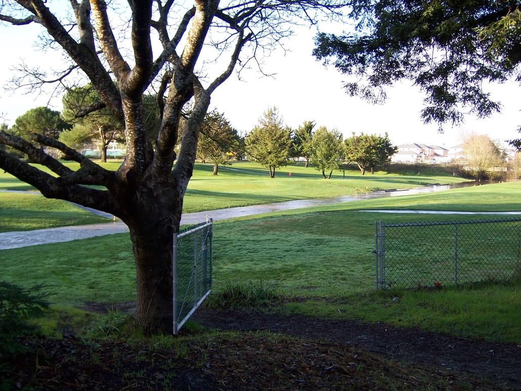 Rohnert Park, CA : Golf Course Rohnert Park photo, picture, image ...