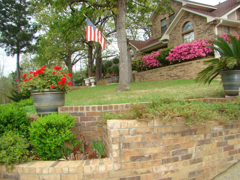 Tyler, TX : Azaleas 2008 1 photo, picture, image (Texas) at city-data.com