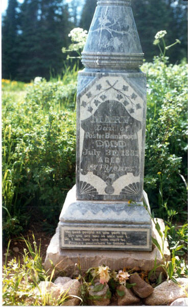 Crested Butte, CO : Ruby Camp Cemetery photo, picture, image (Colorado ...