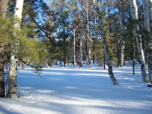 Flagstaff, AZ : January 1st . Walking through 2ft+ deep snow in ...