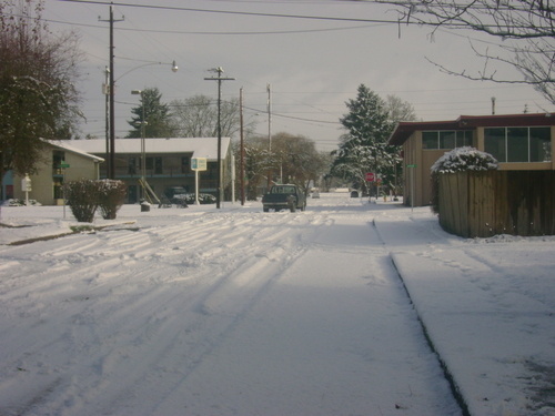 Junction City, OR : Our snowy weekend 2008 photo, picture, image ...