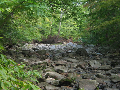 Wilmington, DE : Bringhurst Woods Early Fall photo, picture, image ...