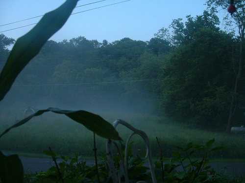 Monterey, KY : morning fog photo, picture, image (Kentucky) at city ...