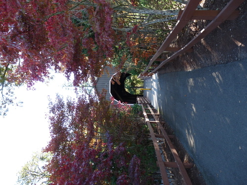 Drain, OR photo, picture, image (Oregon) at city-data.com