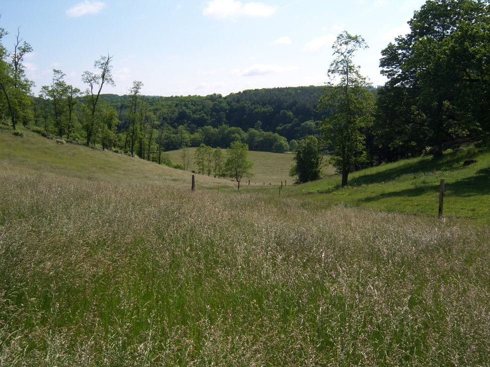 Floyd, VA photo, picture, image (Virginia) at city-data.com