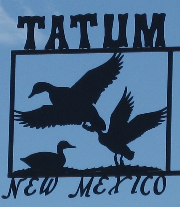 Tatum, NM : Tatum art photo, picture, image (New Mexico) at city-data.com