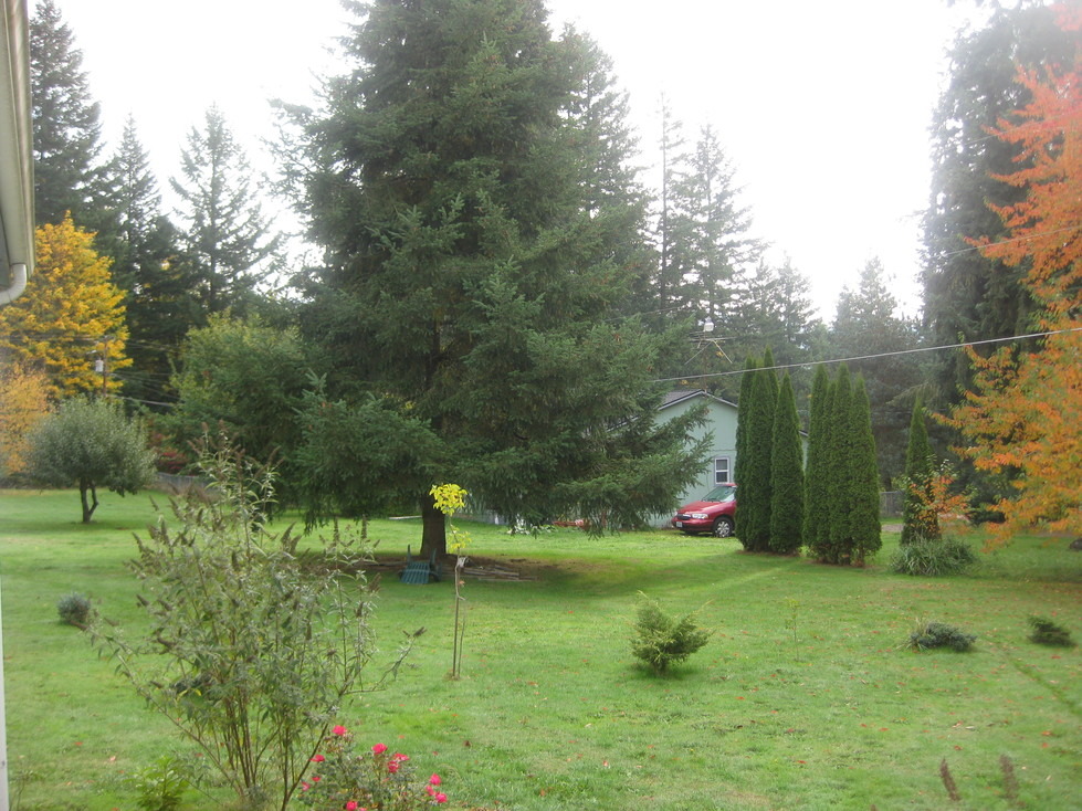 Colton, OR : The front yard photo, picture, image (Oregon) at city-data.com