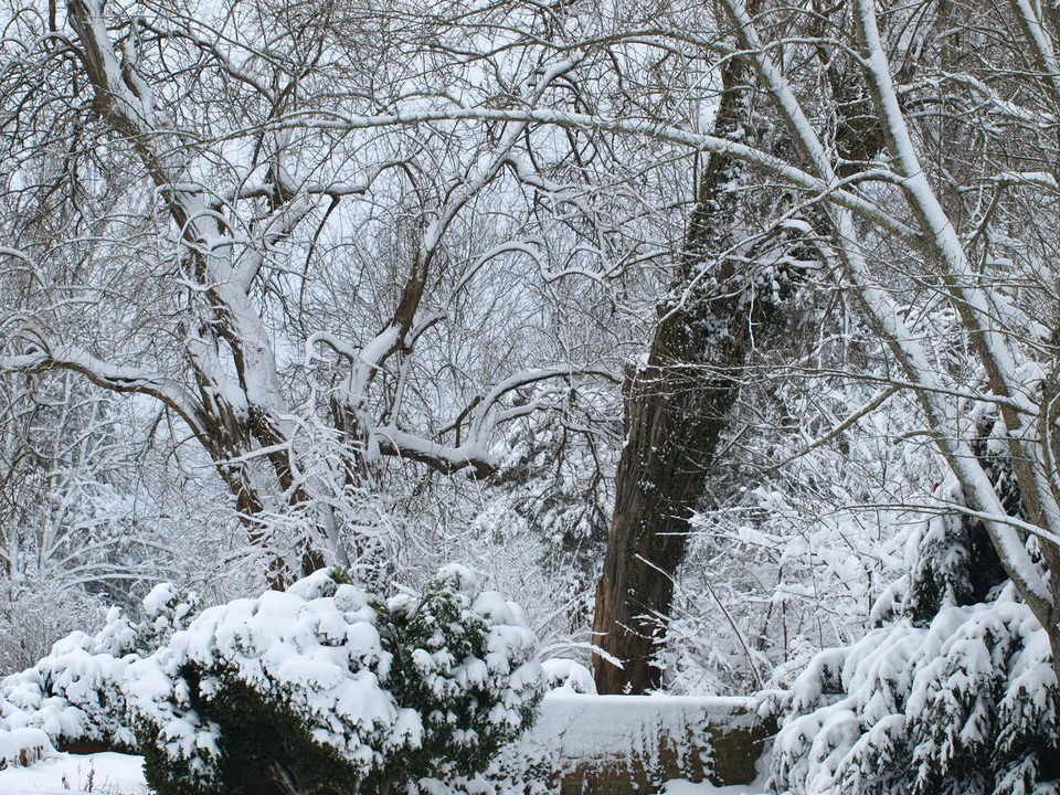 Ketchikan, AK photo, picture, image (Alaska) at city-data.com