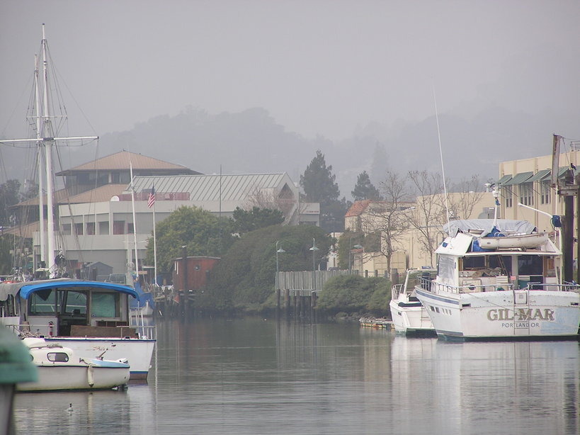 San Rafael, CA : City Center From the Harbor photo, picture, image ...