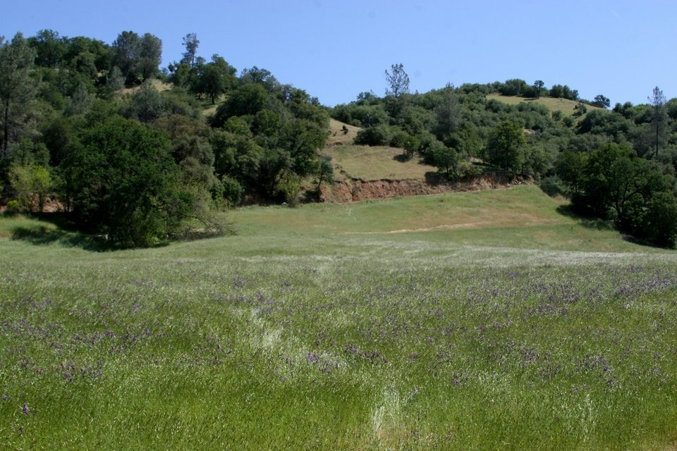 Penn Valley, CA : Hiking trail by bridgeport photo, picture, image ...