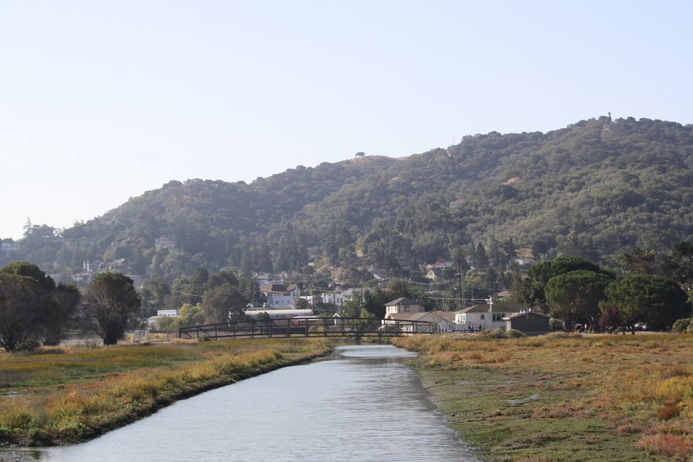 Martinez, CA : Looking toward downtown from the marina photo, picture ...