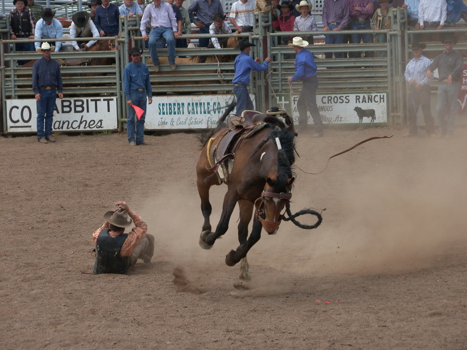 Williams, AZ : Rodeo Ground Williams July 2006. photo, picture, image ...