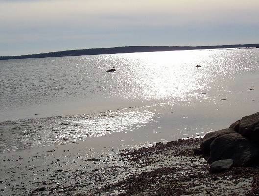 Wareham, MA : little harbor Beach photo, picture, image (Massachusetts ...