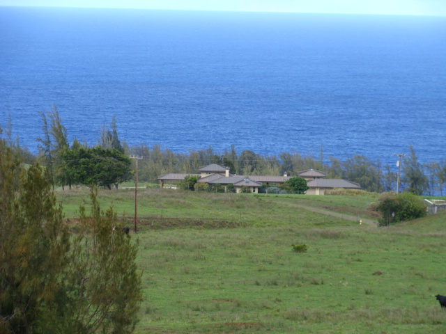 Honokaa, HI : Honokaa Town sits above 100's of acres of coastline ...