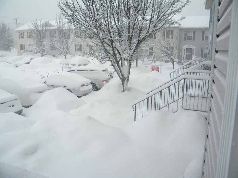 Edmonston, MD : Neighborhood park photo, picture, image (Maryland) at ...