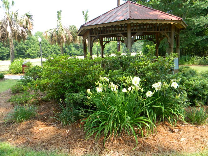 Jackson, SC : GAZEBO photo, picture, image (South Carolina) at city ...