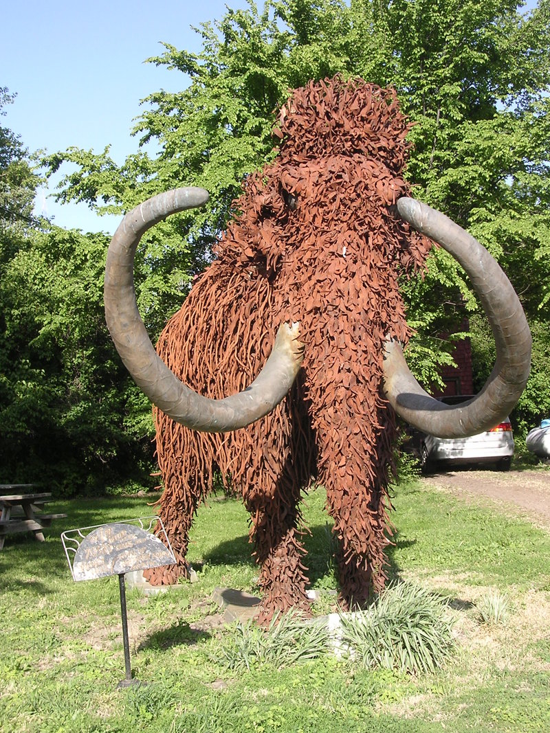 Fossil, OR : Wooly Mammoth in Fossil, Oregon photo, picture, image ...