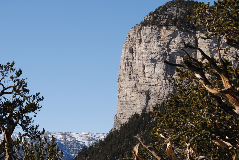 Mount Charleston, NV : North Loop Trailhead - Spring Mountain National ...