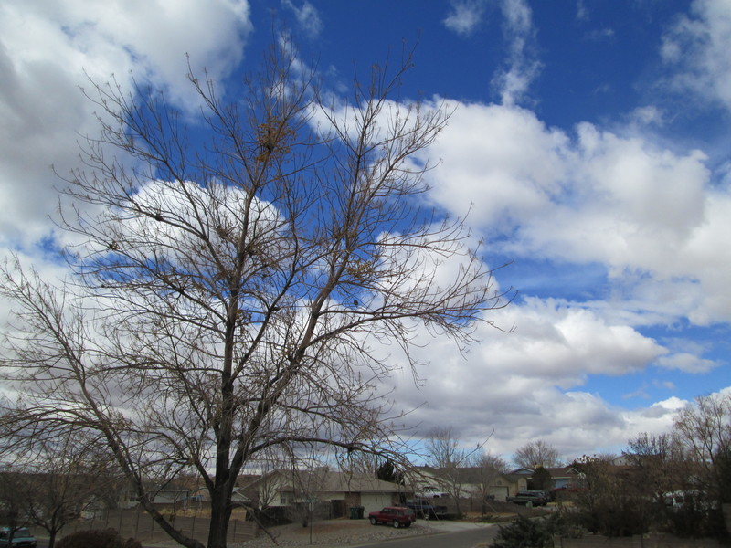Rio Rancho, NM : Rio Rancho photo, picture, image (New Mexico) at city ...