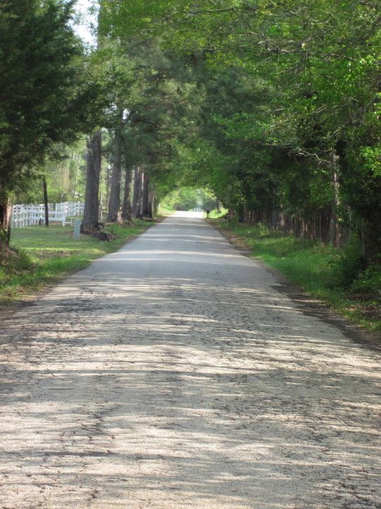 De Berry-Deadwood, TX : Old Town Road, DeBerry, Panola County, Texas ...