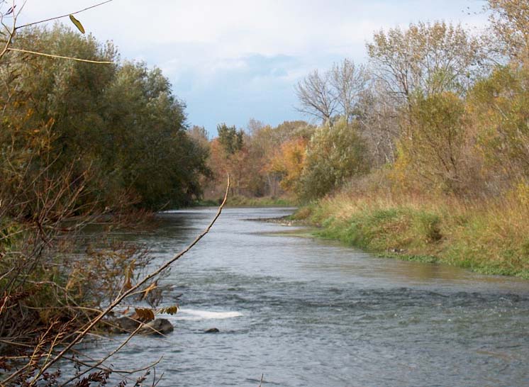 Eagle, ID : Boise River, near Merrill Park in Eagle photo, picture, image (Idaho) at city-data.com