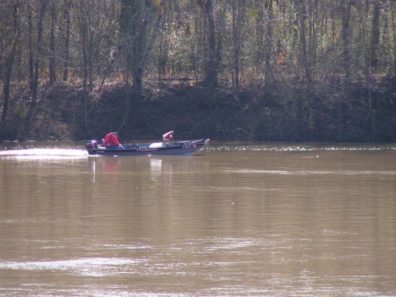 Childersburg, AL : Childersburg Area photo, picture, image (Alabama) at ...