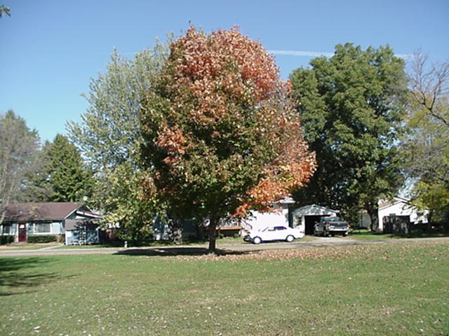 Grandview, IA : GRANDVIEW, IA CITY PARK photo, picture, image (Iowa) at ...