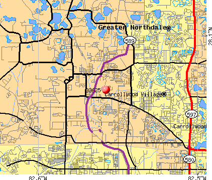 33625 Zip Code (Citrus Park, Florida) Profile - homes, apartments ...