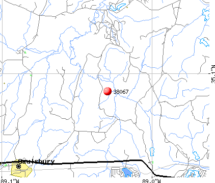 38067 Zip Code (Saulsbury, Tennessee) Profile - homes, apartments ...