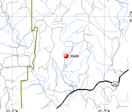38486 Zip Code (Tennessee) Profile - homes, apartments, schools ...
