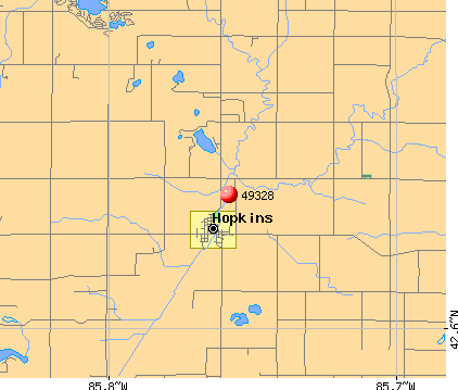 49328 Zip Code (Hopkins, Michigan) Profile - homes, apartments, schools ...